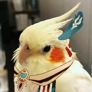 洛兰紫焰 