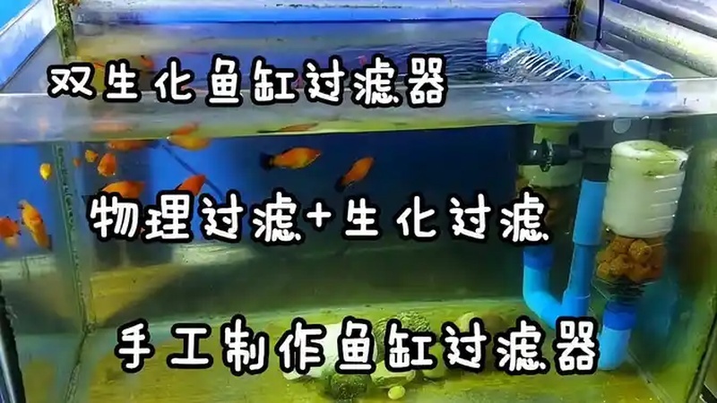 教你制作鱼缸双过滤器,物理过滤+生化过滤,简单还便宜