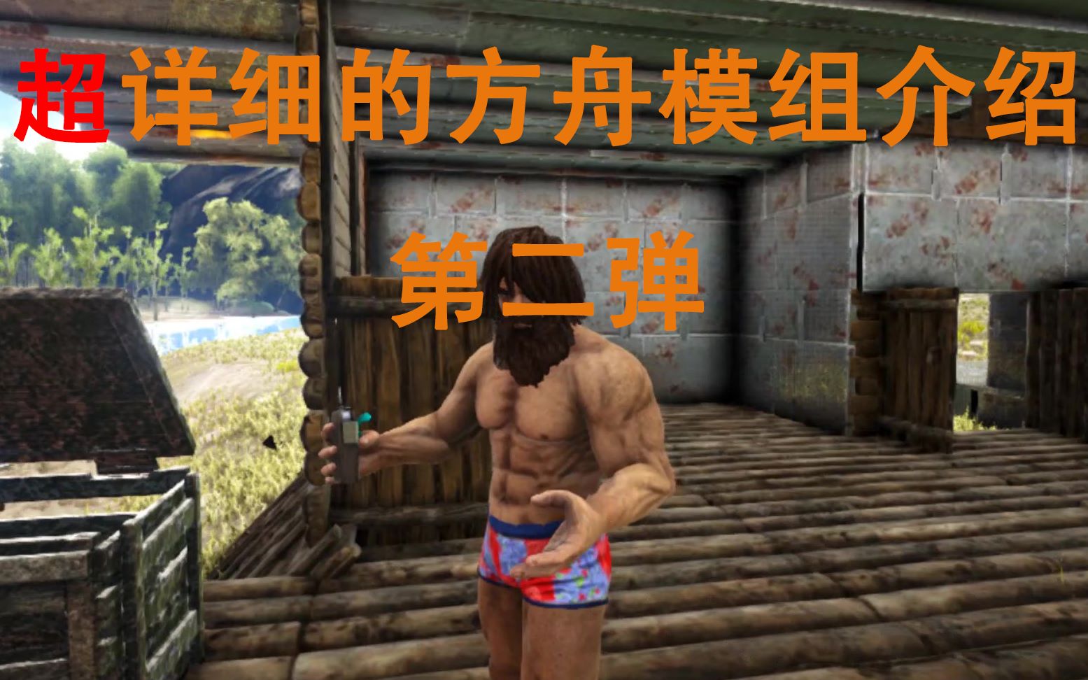 超详细的方舟模组介绍,第二期