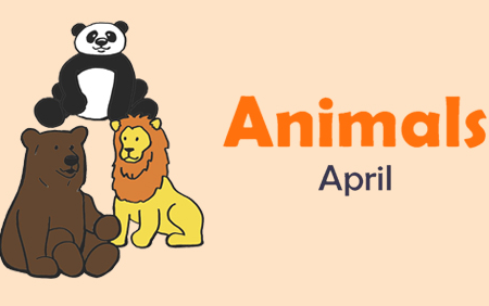 Amerlish爱美英语3-6岁幼儿主题课程-Animals