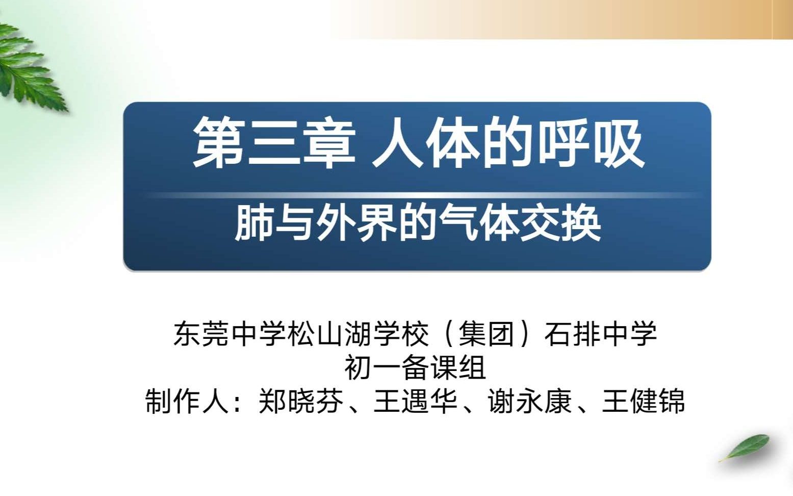发生在肺内的气体交换 视频