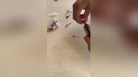 ko大动力电磨使用视频