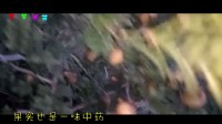 刺梨好吃还能祛湿气? 可这一类人千万不能吃, 否则谁都救不了你