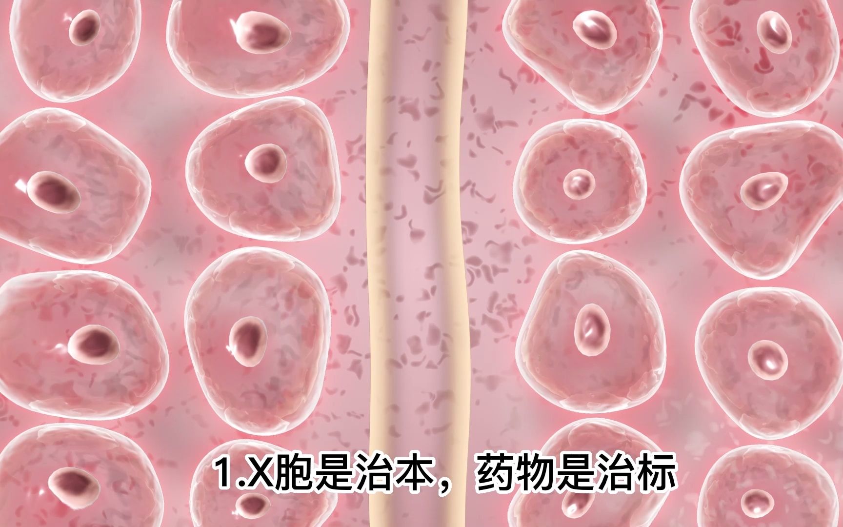 细胞和药物的区别是什么呢