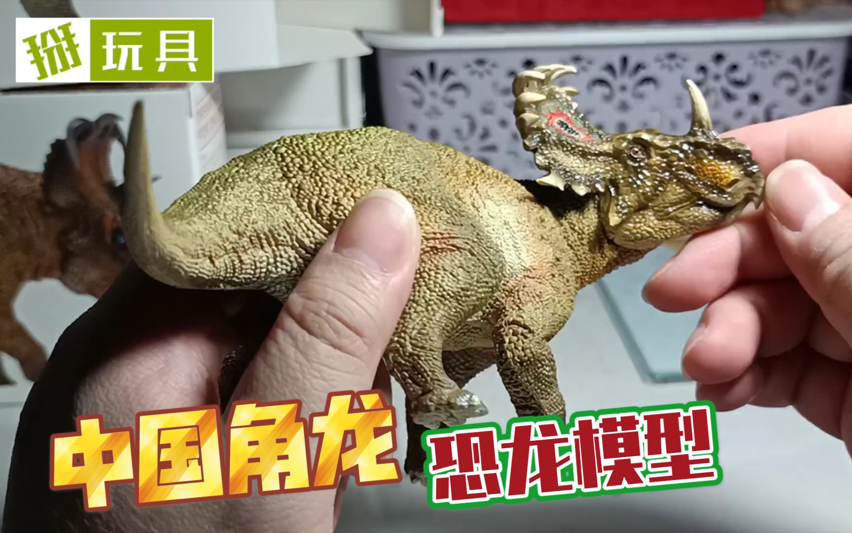 恐龙模型分享:中国角龙阿齐!恐龙大王PNSO掰玩具638期