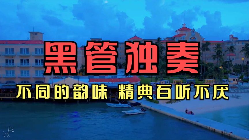 【黑管独奏】不同的韵味,同样的好听,精典百听不厌