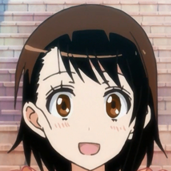 撅缘体 