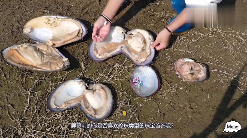 珍珠究竟是怎样形成的?为什么天然珍珠比养殖珍珠贵几十倍?