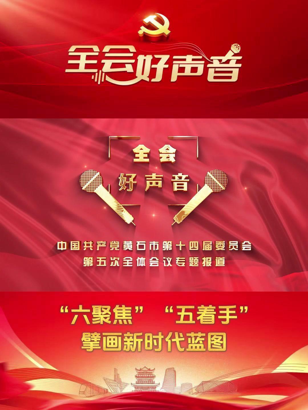 #中共黄石市委十四届五次全会黄石港区:“六聚焦”“五着手”擘画新...