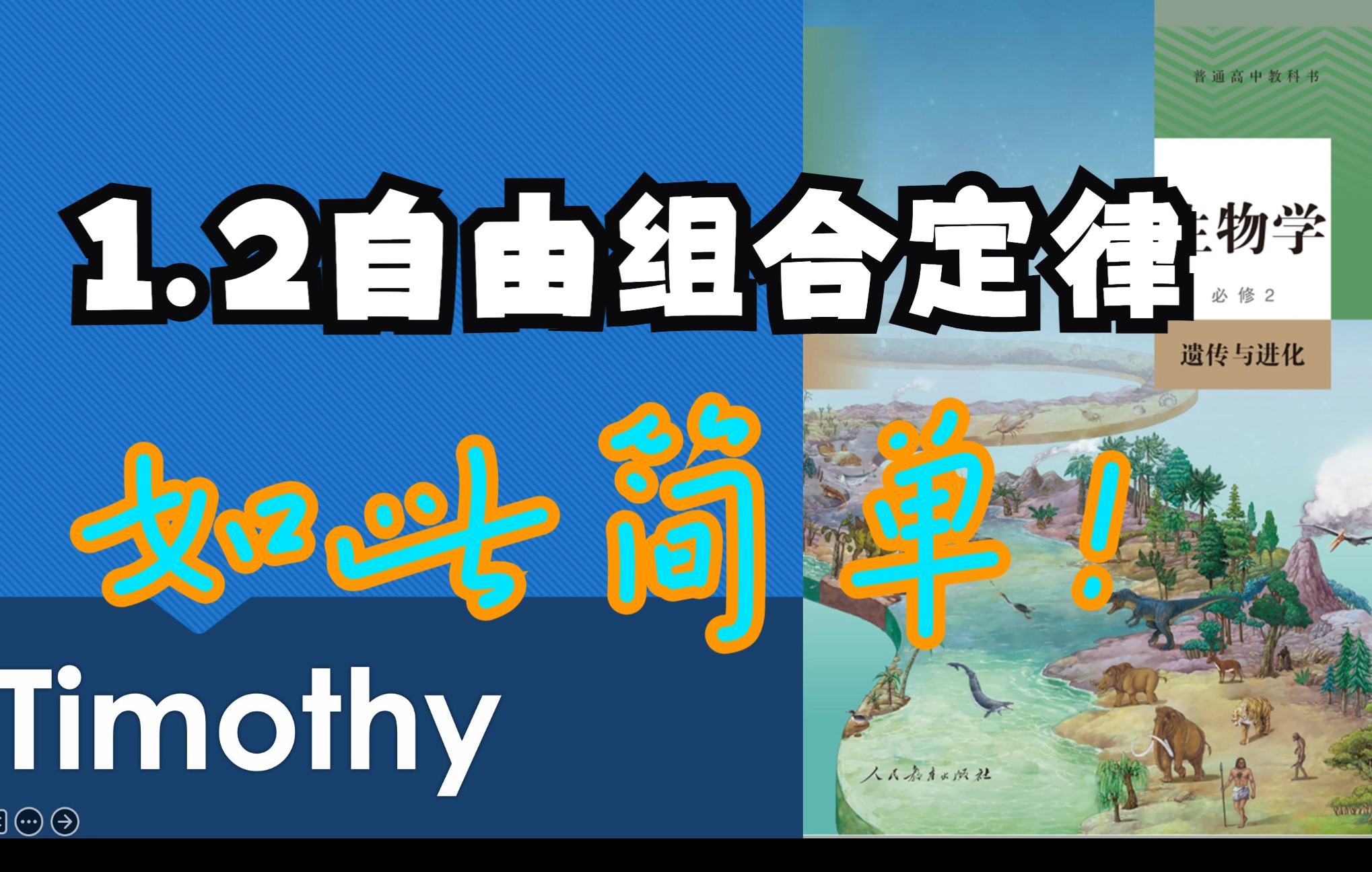 【必修2】1.2-3自由组合定律 划重点 孟德尔遗传与进化人教版统编...