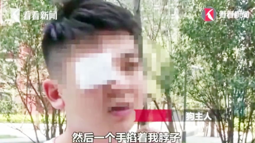 女童被3只狗围困受惊呕吐不止 家长讨说法起冲突 双方大打出手