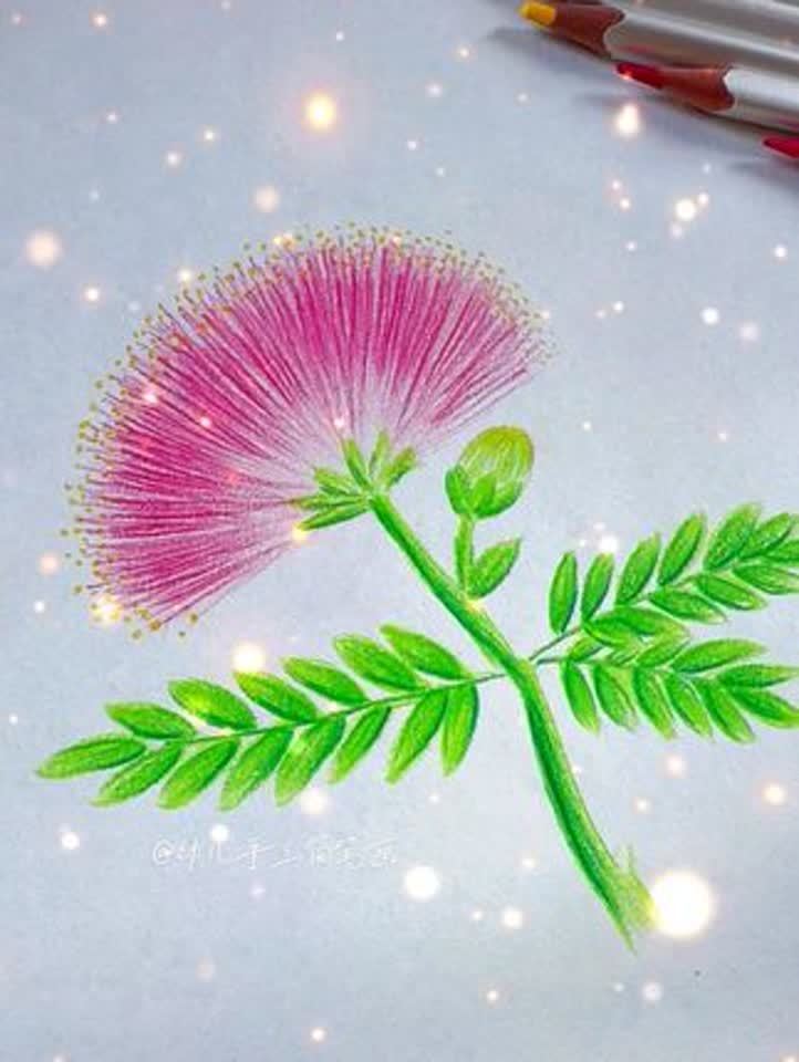 一分钟教你简单快速画合欢花 #简易花草画法 #合欢花 #彩铅画 #儿童...