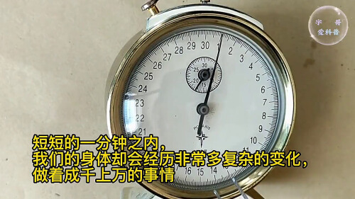 人体好神奇,当你不动时身体依然进行着心跳呼吸,造血等各种变化
