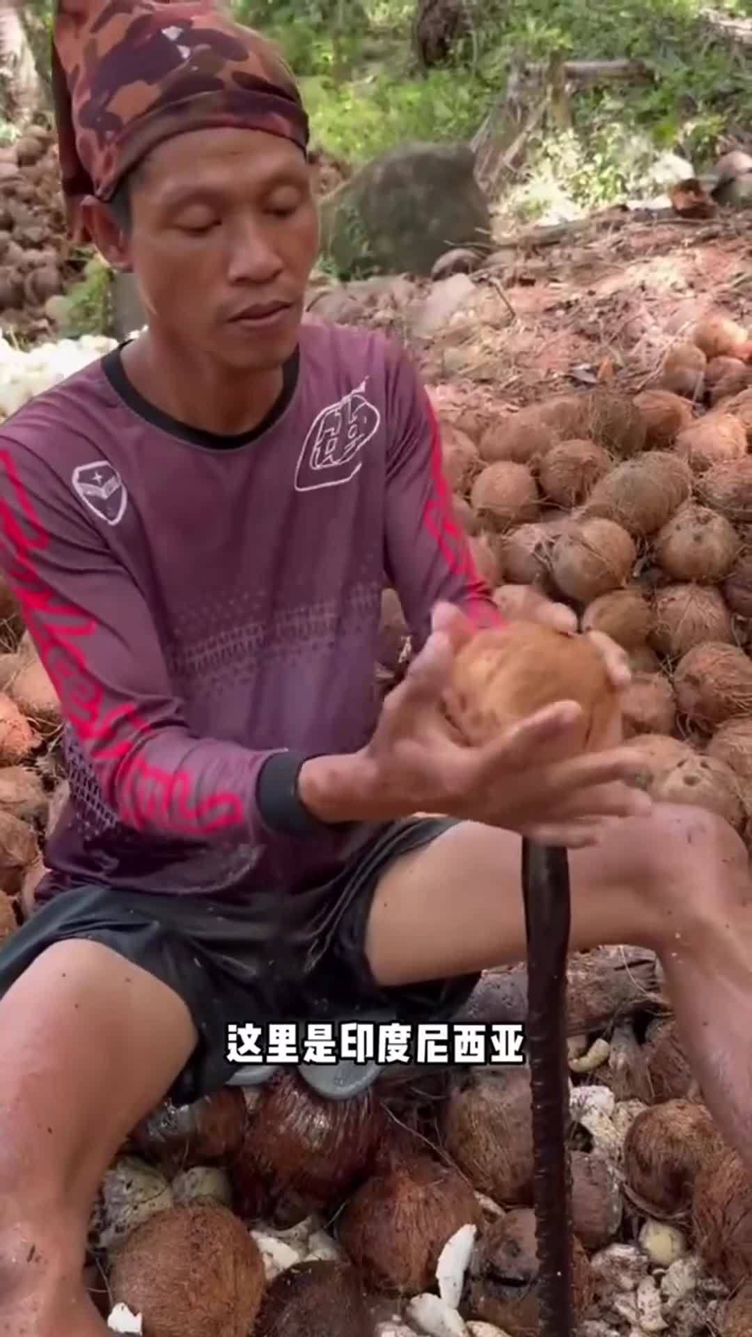 这里是印尼,当地人正快速剥椰子