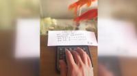 火爆全网的歌曲竟然用计算器就能弹出来 教程在这赶紧学起来