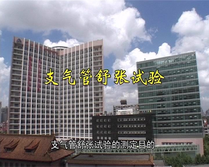 04支气管舒张试验VA0