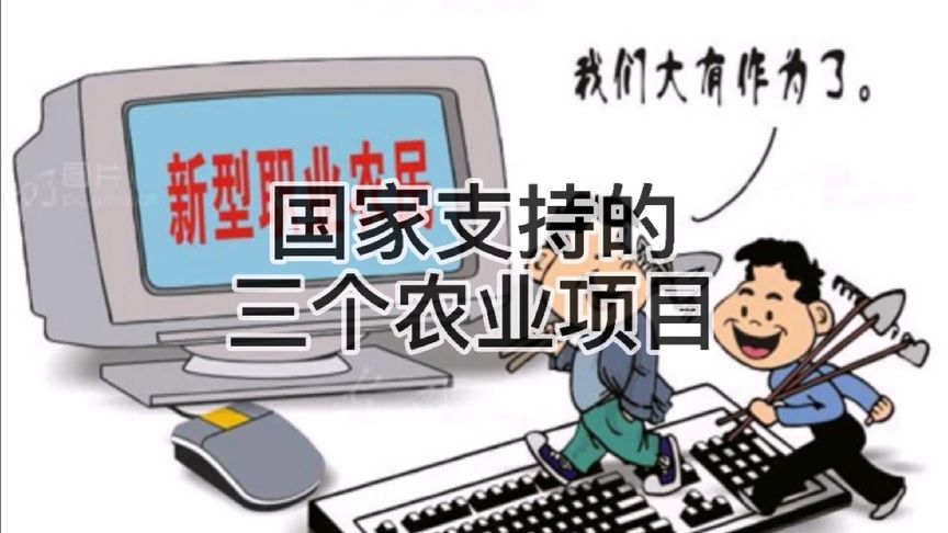国家支持的三个农业发展项目