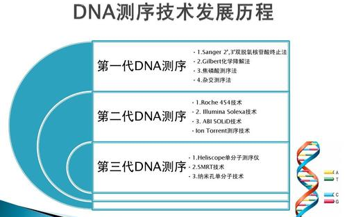 【快速入门】第一、第二、第三代测序原理(生信笔试面试必考题)
