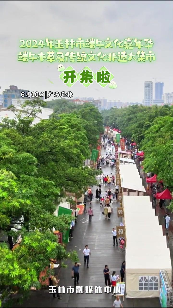 第十四届中国(玉林)中医药博览会端午本草及传统文化非遗大集市开集...
