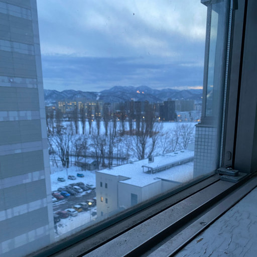 应飞宇 
