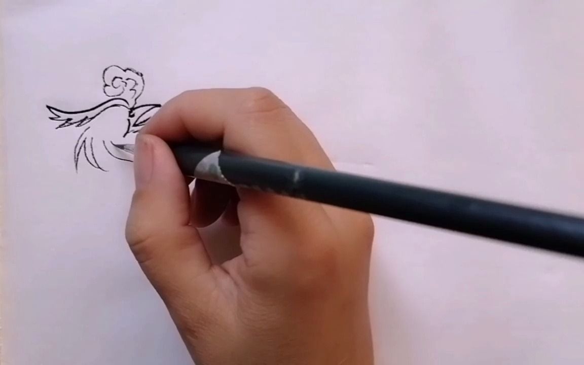凤凰的画法过程清晰易学噢