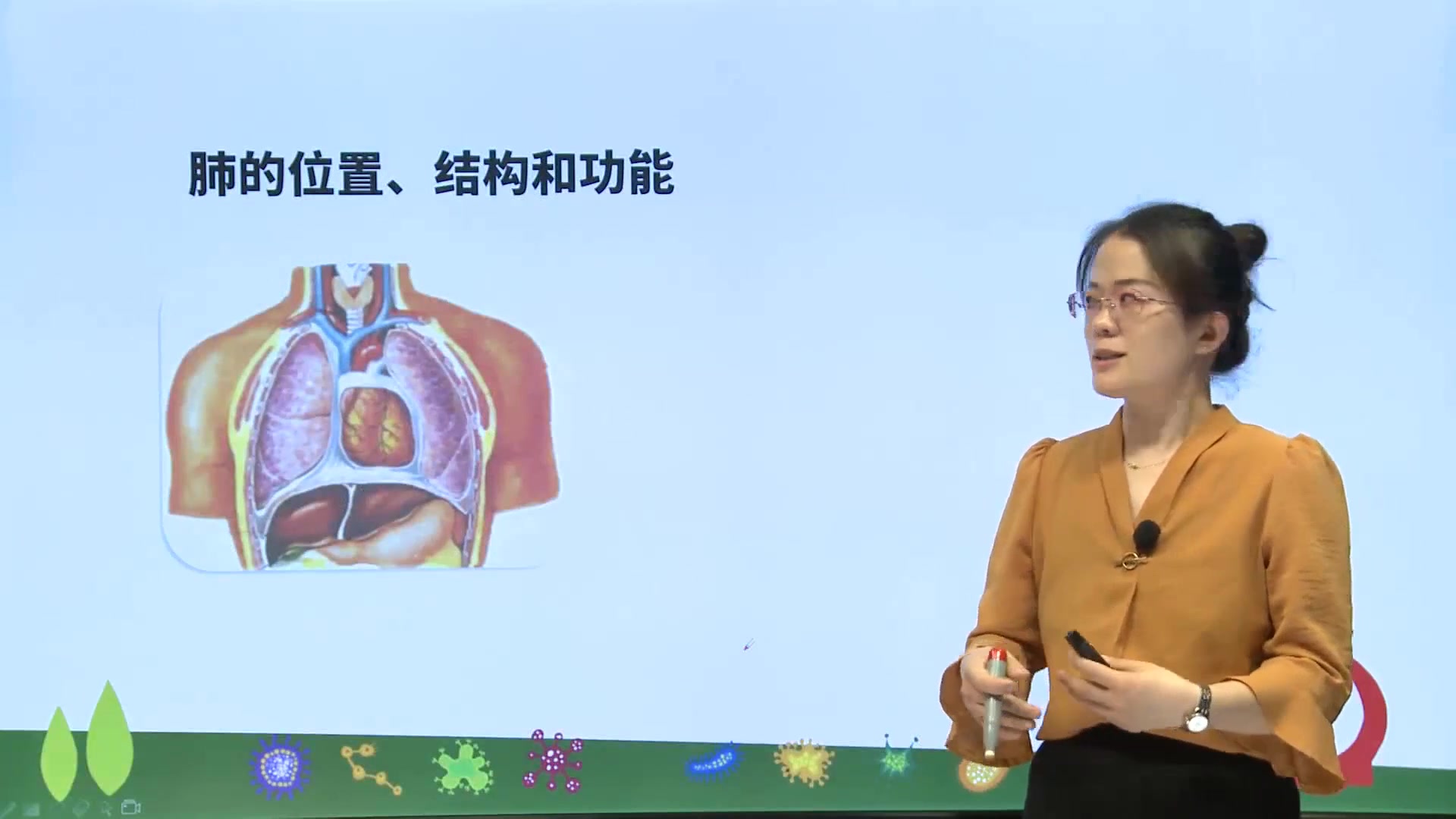 七年级生物:发生在肺内的气体交换(第一课时),学会考试拿满分
