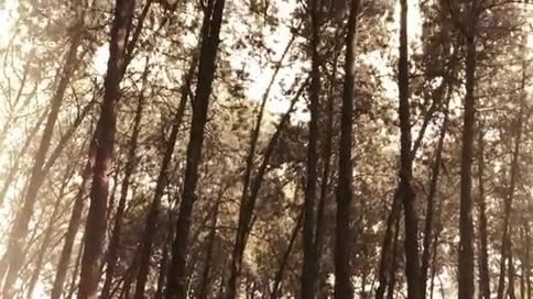 Capture手持云台,发现年味-陪伴家人