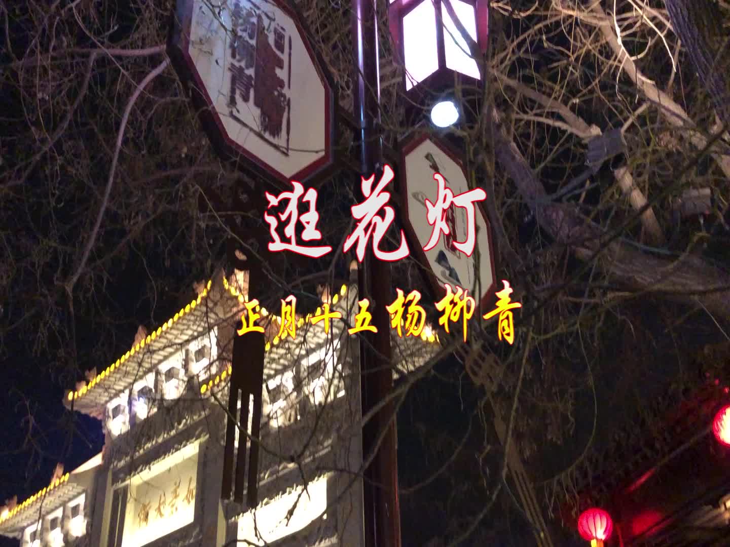 【一月一项新技能】Pr: Premiere CS6 逛花灯