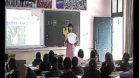 《丑小鸭》 小学语文名师工作室教学案例教学视频