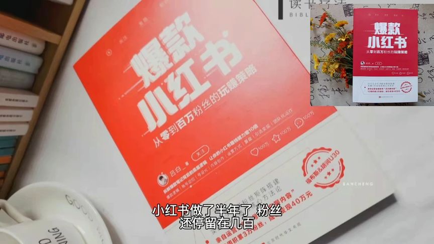 爆款小红书:零基础小白写出爆款笔记成大V必备“指南”