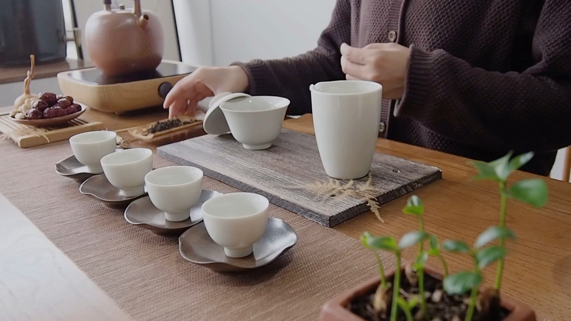 立春.盖碗泡柑普茶[莞知]学泡茶视频来咯