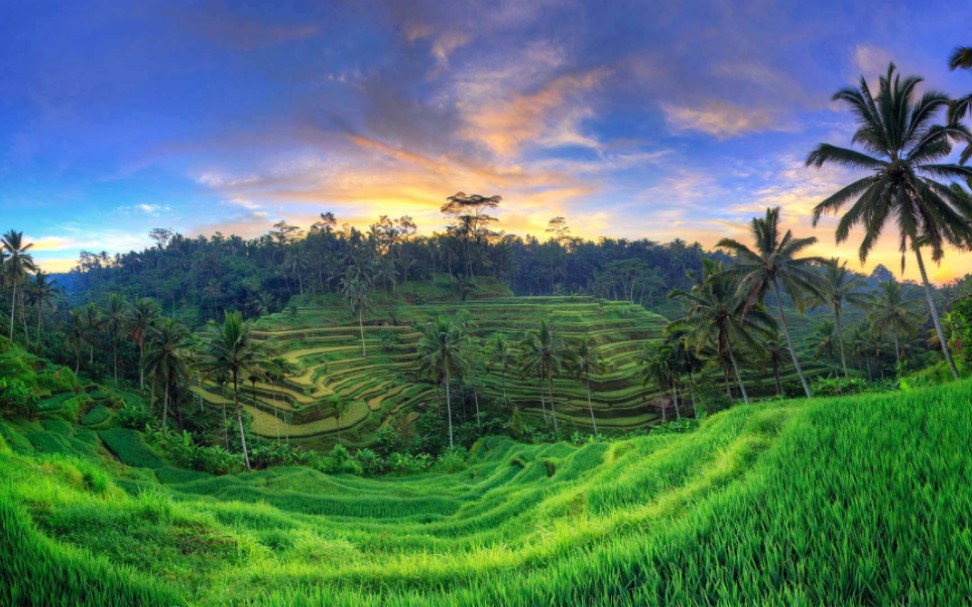 乌布德格拉朗梯田,印度尼西亚巴厘岛 (© Michele Falzone/Alamy)