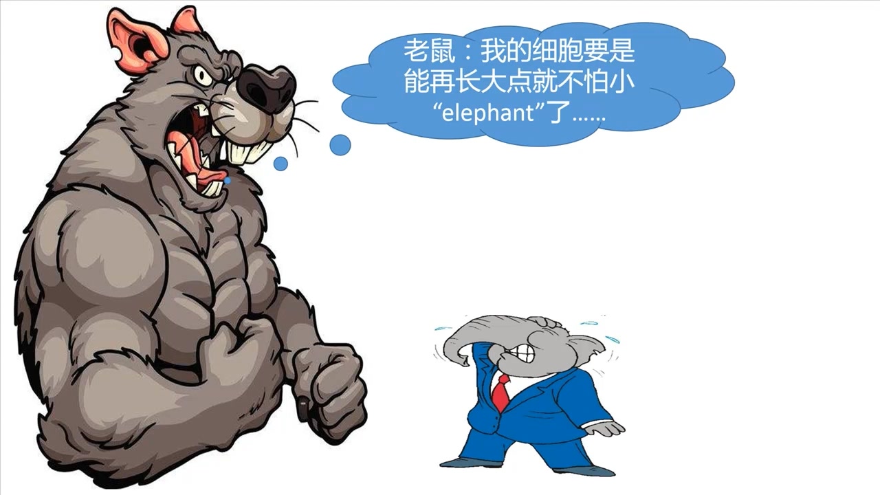 【一本正经讲生物】高一生物必修一6.1细胞的分裂