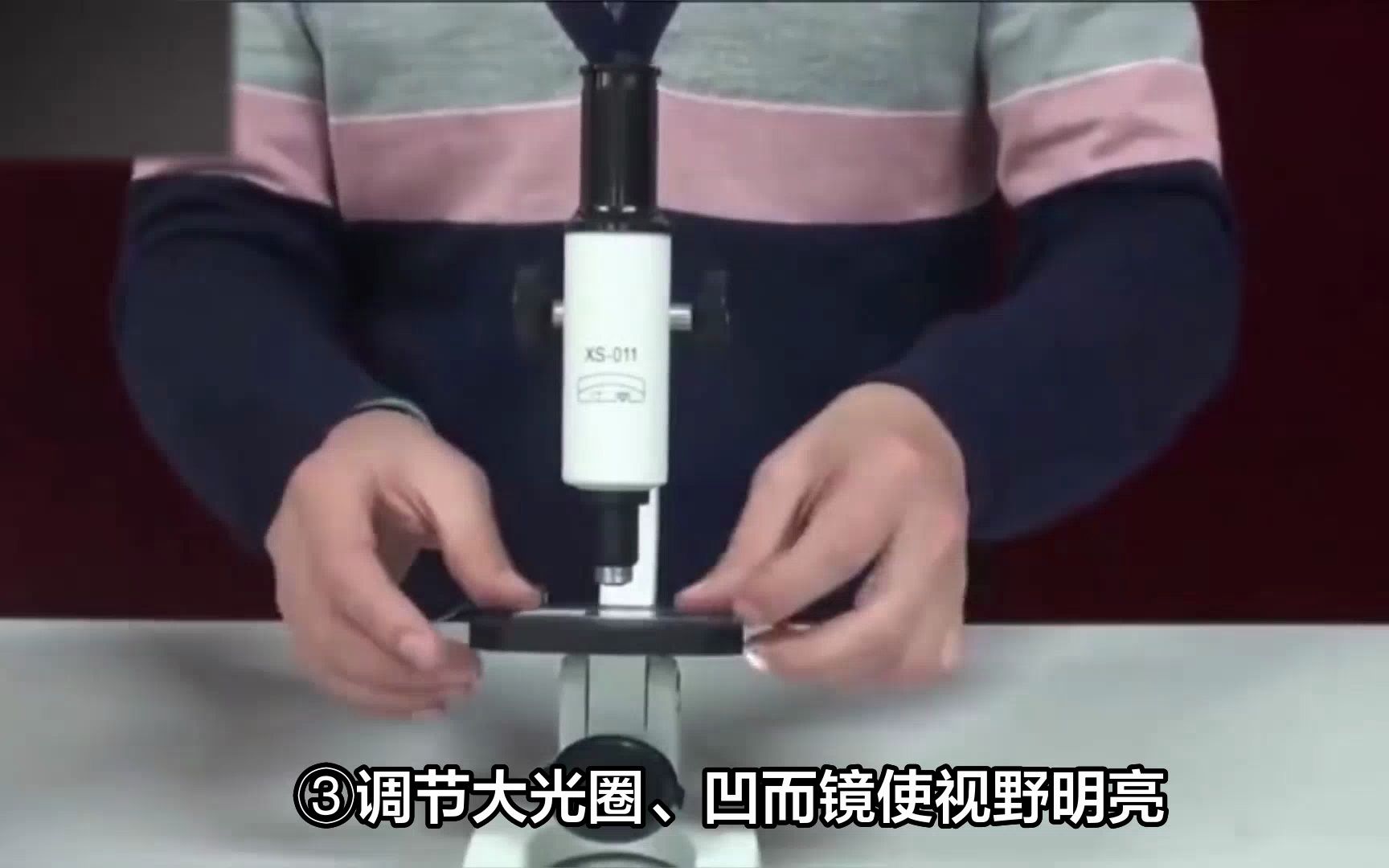 细胞的多样性和统一性(1)