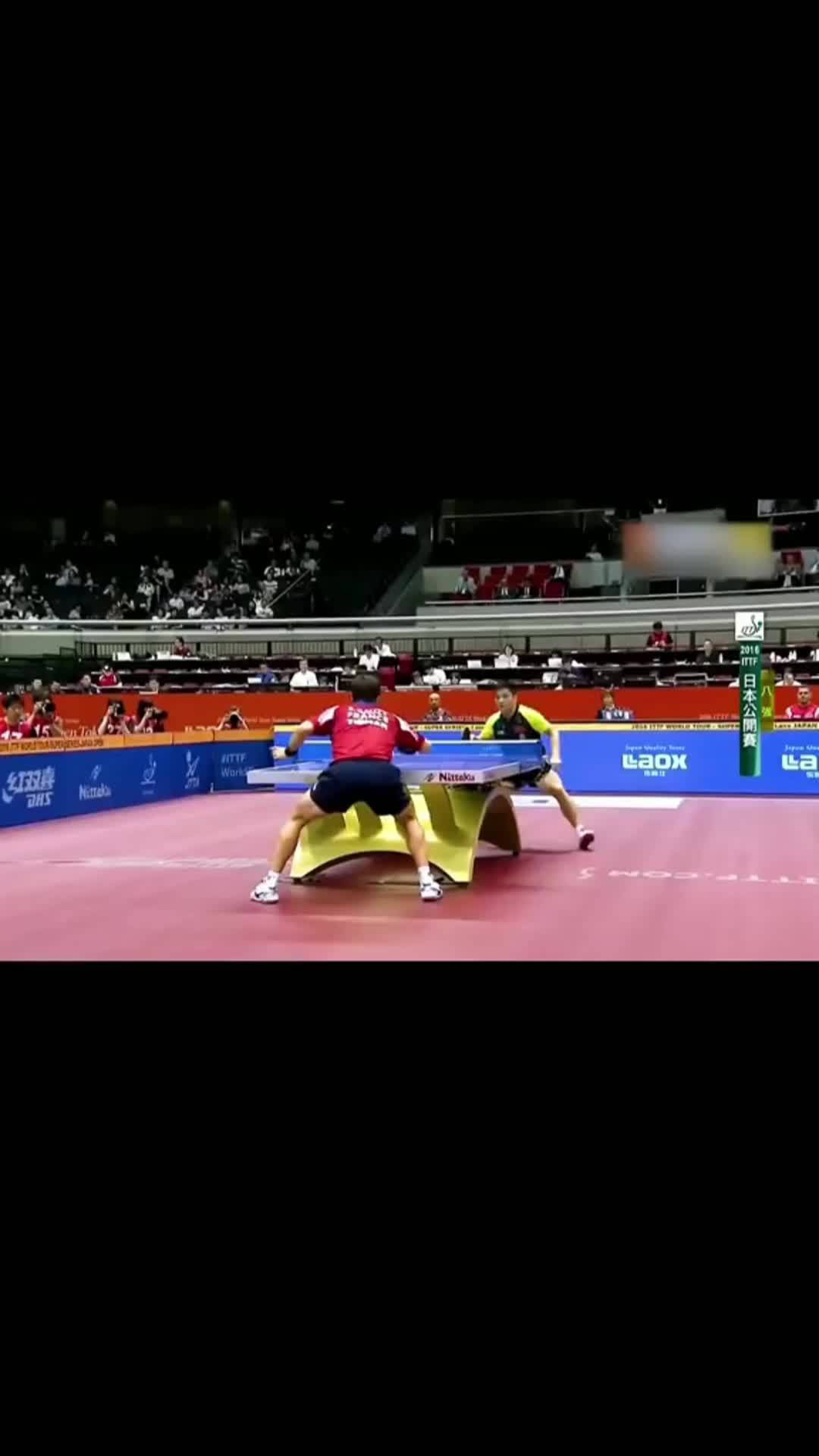 樊振东比赛场上的一个名场面!