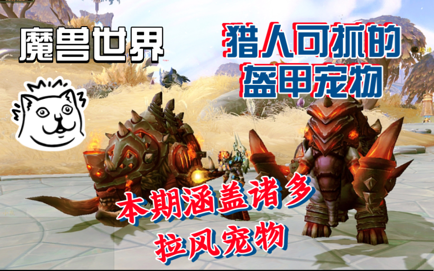 【魔兽世界】全面汇总猎人可抓的盔甲宠物们-拉风宠物尽在本期(重...