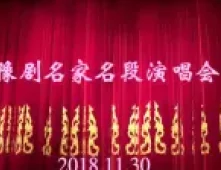 豫剧名家名段演唱会1