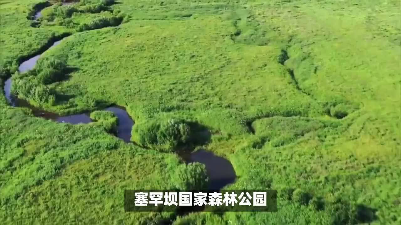 塞罕坝国家森林公园,大自然的秘境!与自然亲密接触的终极之地!