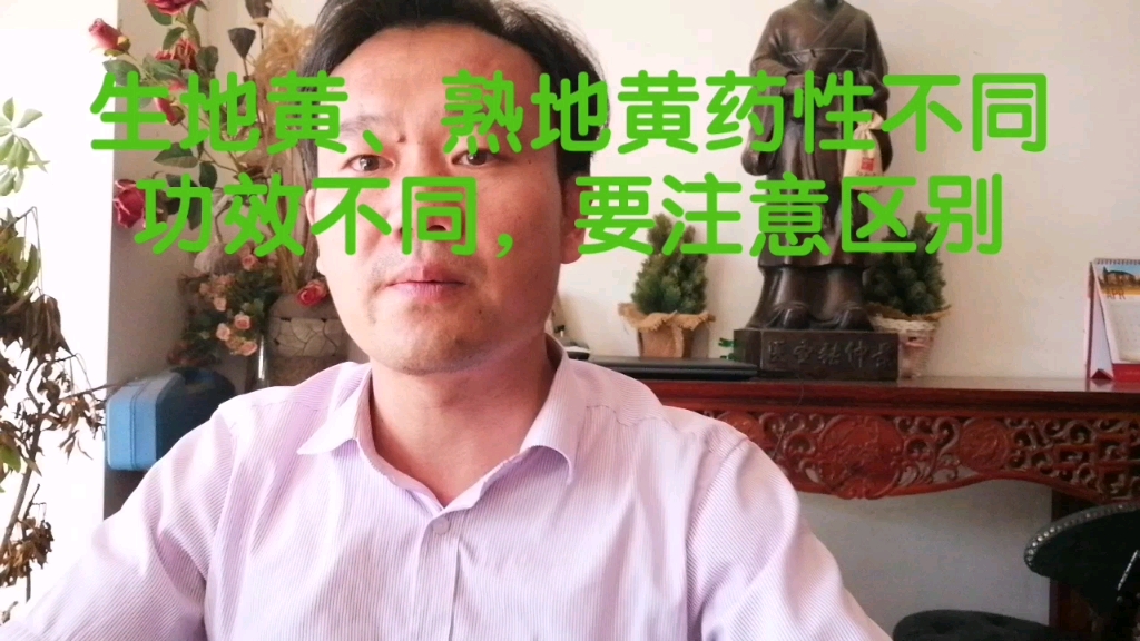 生地黄、熟地黄药性不同,功效不同,要注意区别