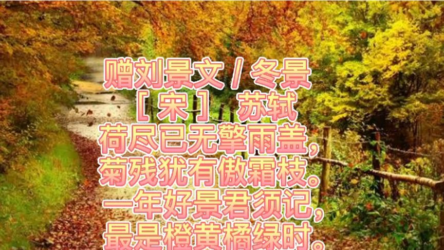 朗读 《赠刘景文》 宋 苏轼