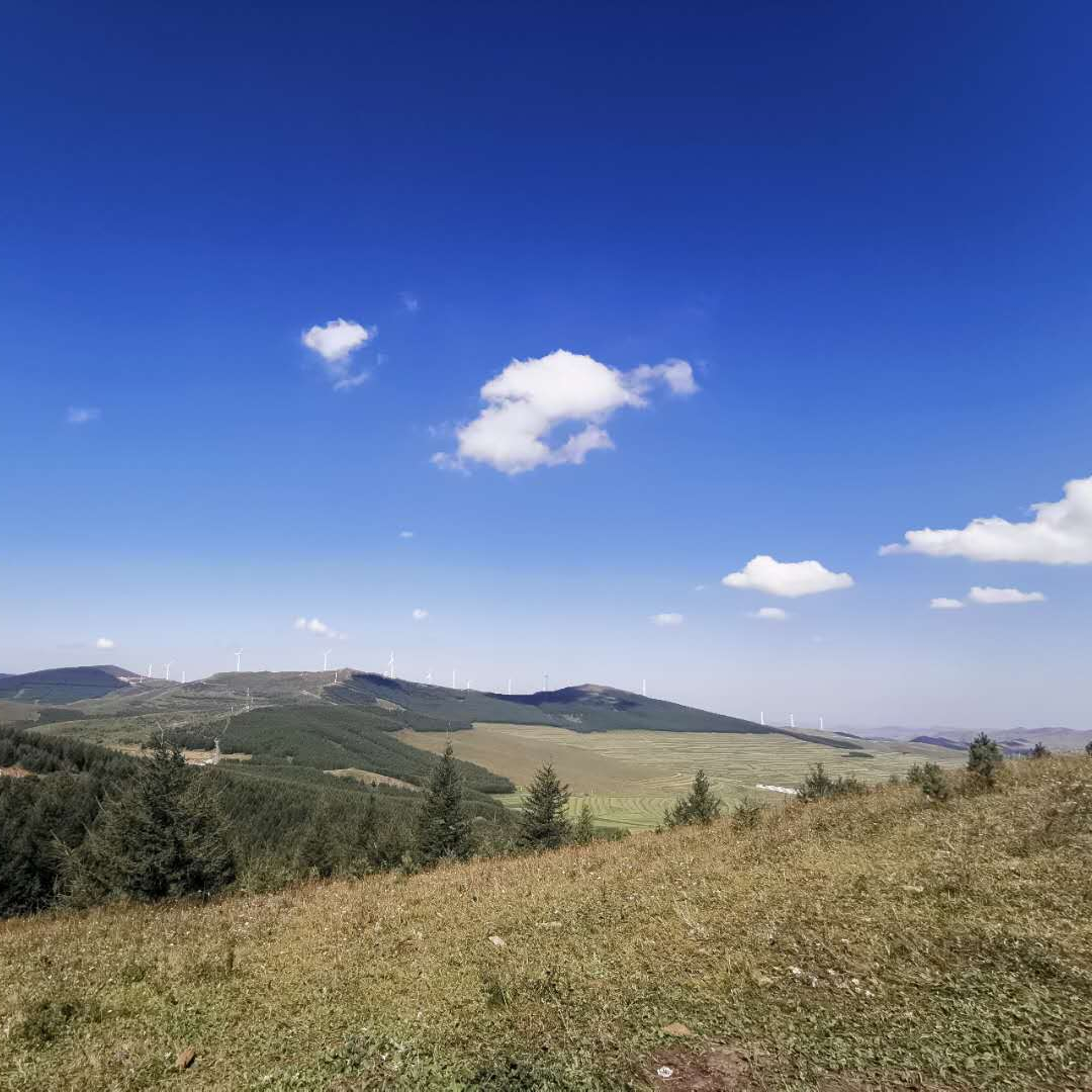 哈利波特大白兔 