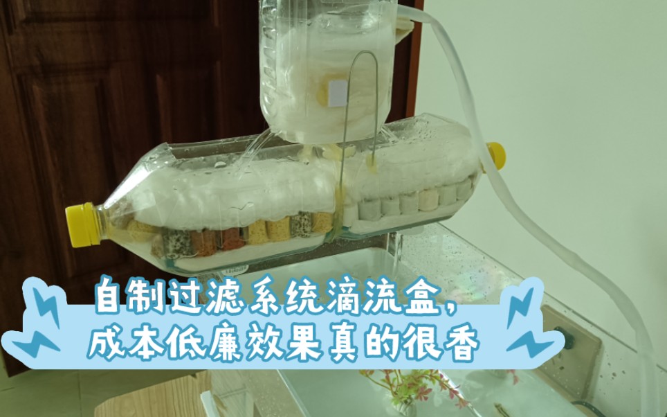 某宝卖的鱼缸滴流盒成本低又太贵,小伙无奈之举一怒之下用几个几...