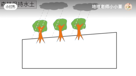 森林涵养水源与保持水土的区别