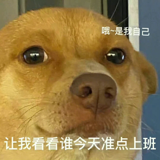 爱与苍生共 
