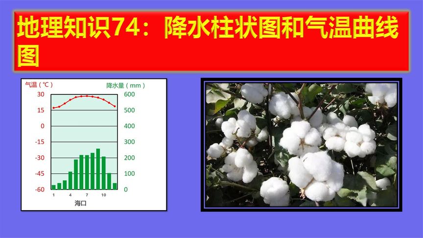 地理知识74:降水柱状图和气温曲线图