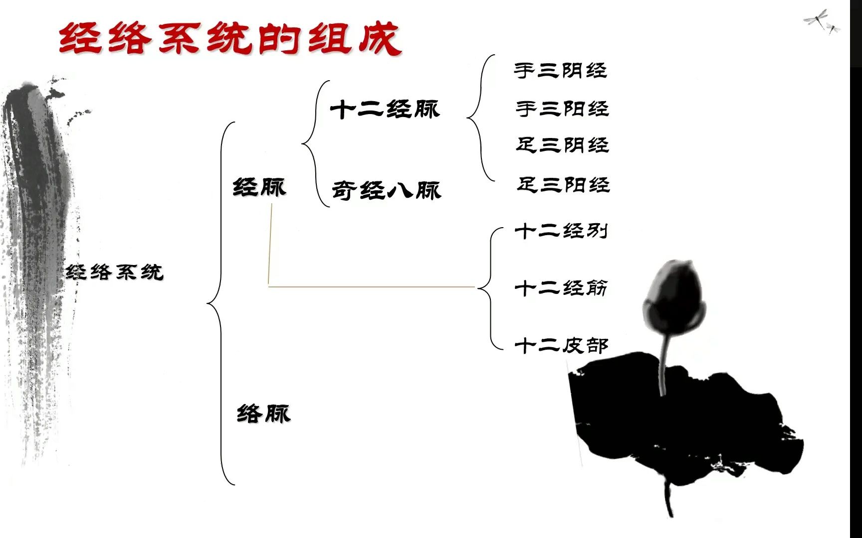 十二经络腧穴证治及命名(上)