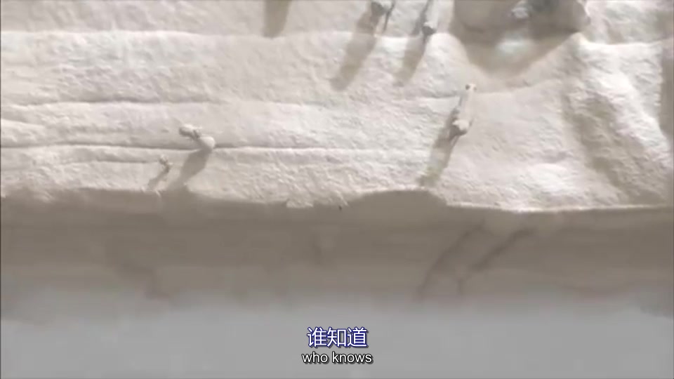 《完美世界》超美的音乐,感人的动画