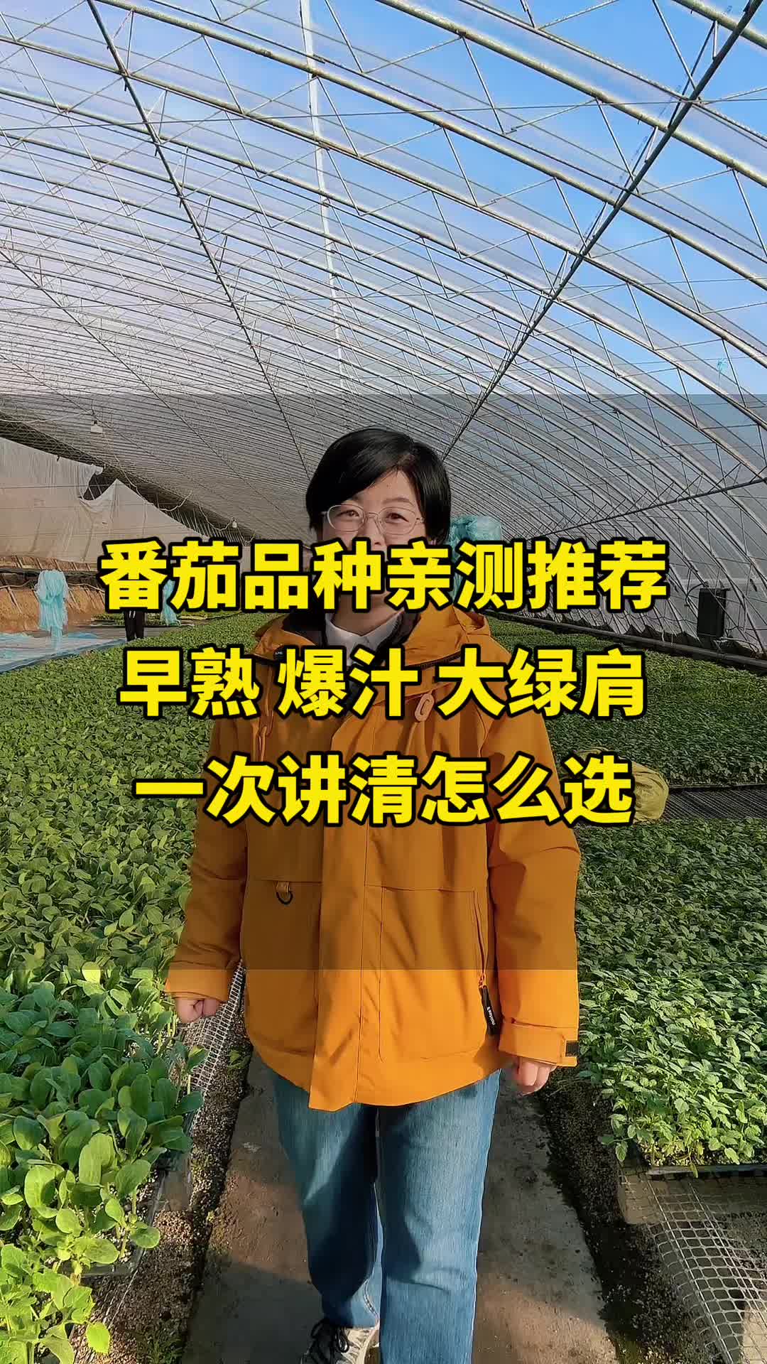 番茄品种“天花板”清单!早熟、爆汁、高硬度…给你讲清楚怎么选 ...