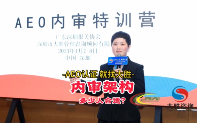 内部审计架构•多少人才合适?
