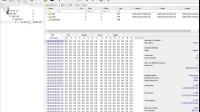 NA Express解析Oracle Asm磁盘组解析数据导出,oracle ASM数据恢复...
